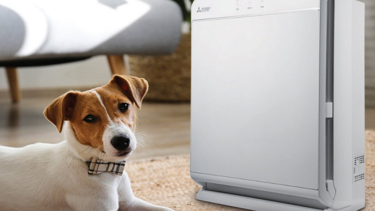 Here s Why You Need an Air Purifiers Mitsubishi Electric